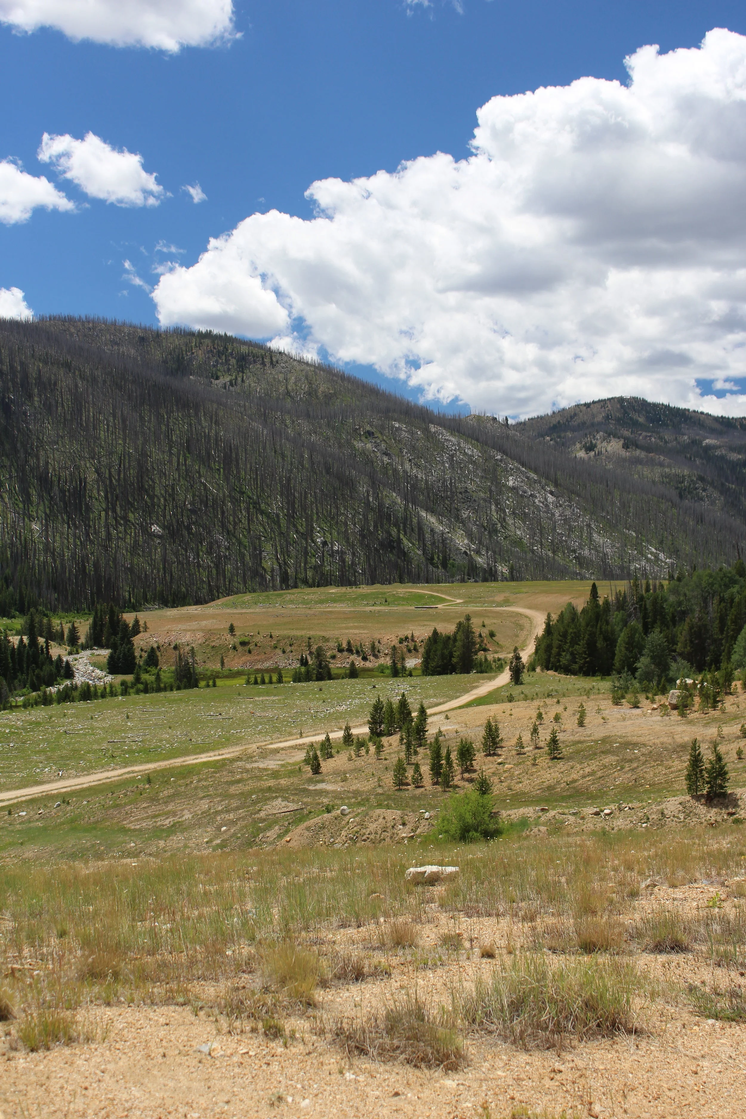 STIBNITE: the history — Idaho Rivers United