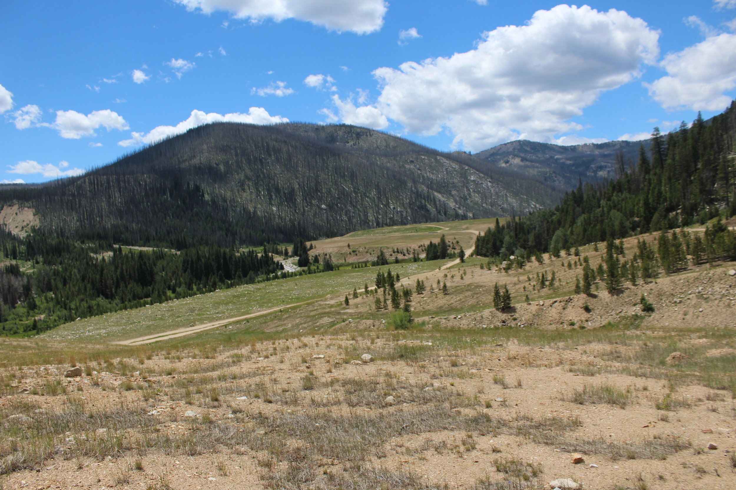 STIBNITE: the history — Idaho Rivers United