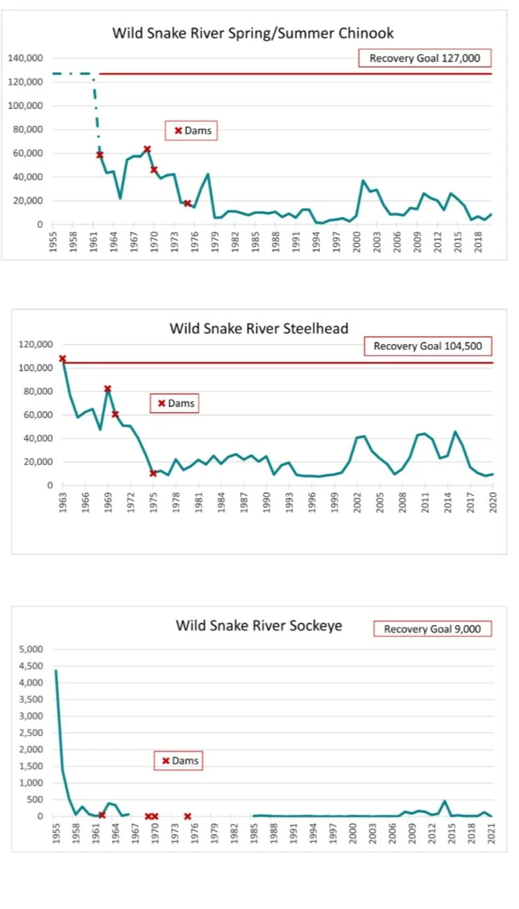 the Lower Snake River Dams — Idaho Rivers United