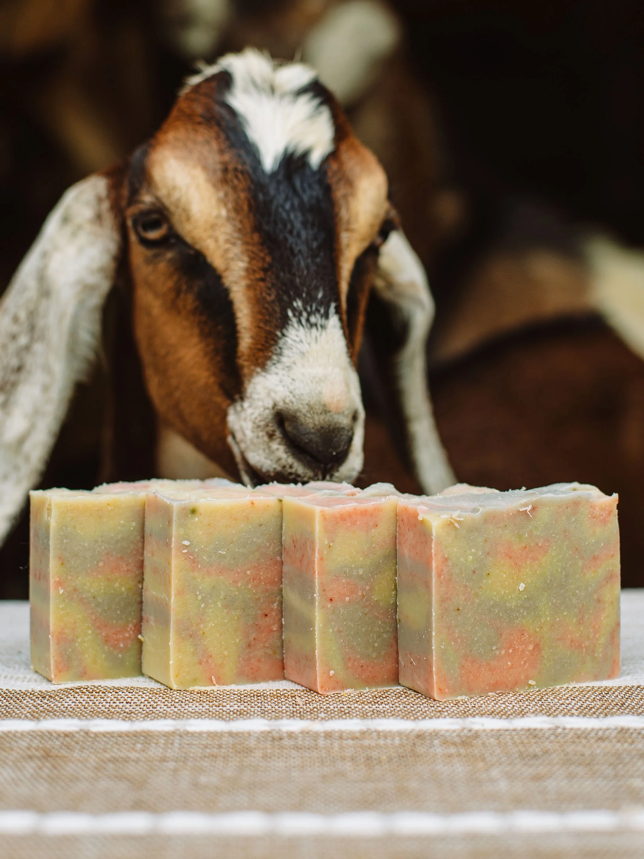 Shop Goat Milk Soap — The Honest Goat