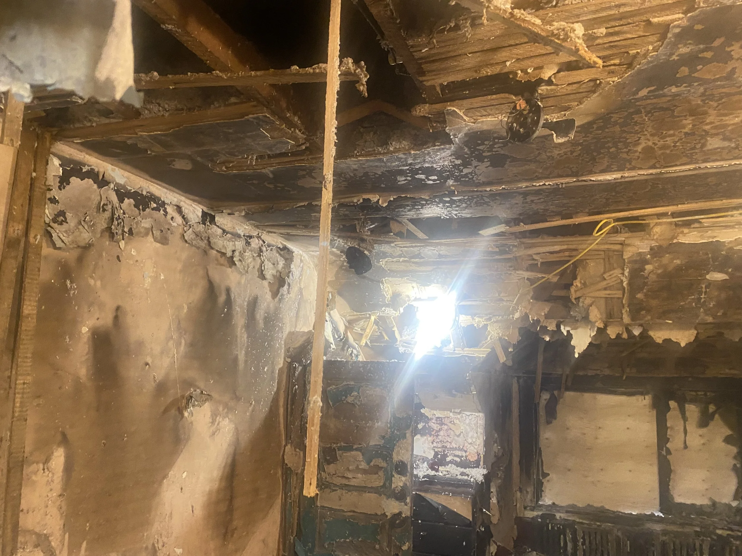 Fire Remediation — Step Up Construction