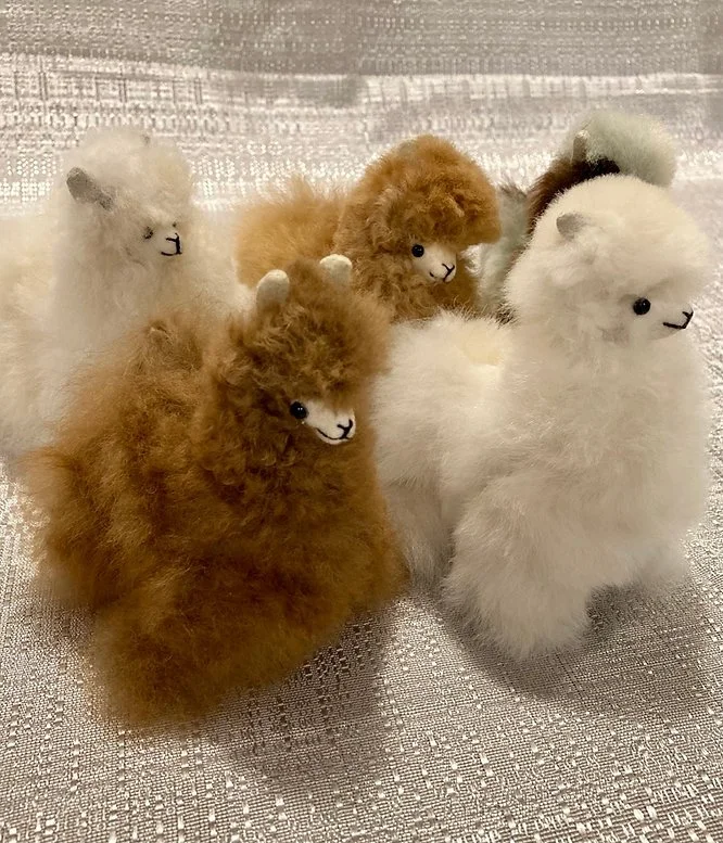 Shop — Buddy's Alpaca Farm