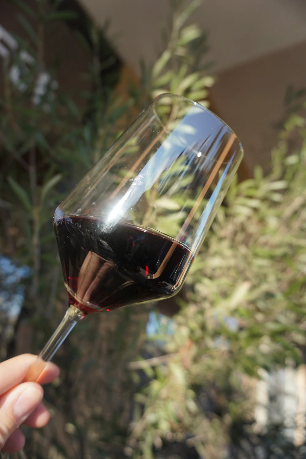 Modern Cellar - The Art of Pairing