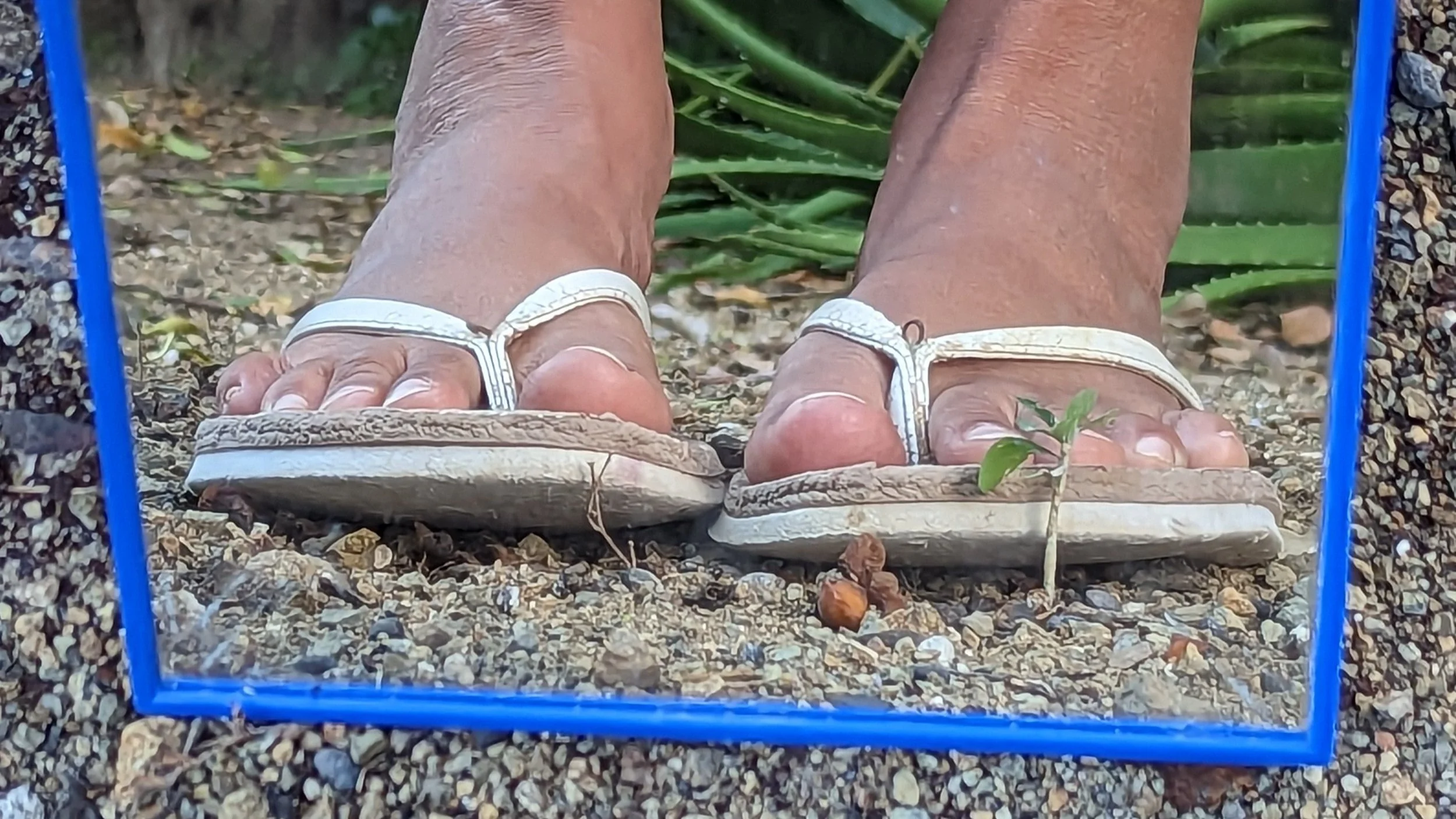 Your Legacy Matters: How to Leave Behind a World-Changing Impact | Hey Sheedia