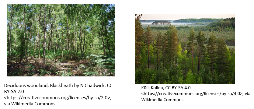 Global Biomes — Madeline James Writes