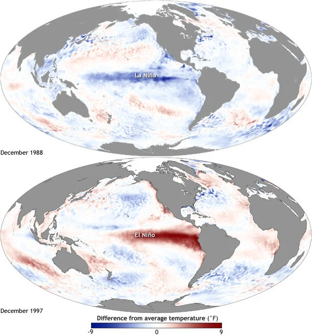 Ocean Circulation — Madeline James Writes