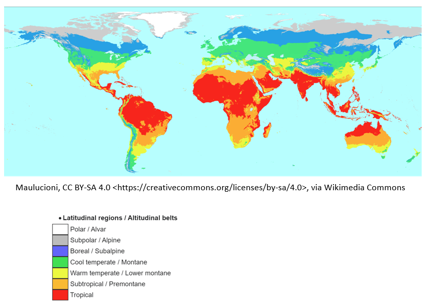 Global Biomes — Madeline James Writes