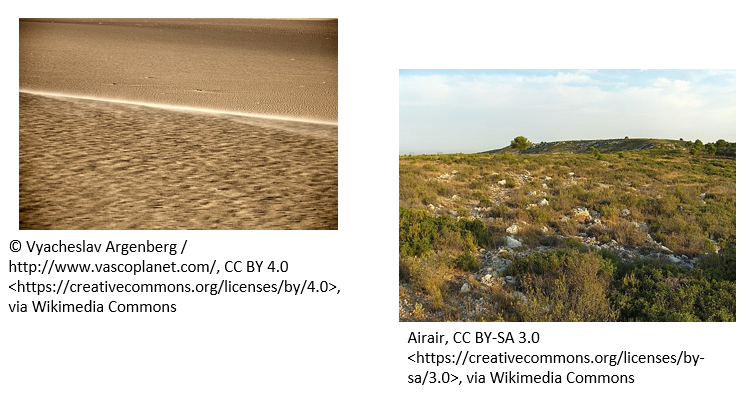 Global Biomes — Madeline James Writes