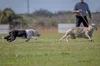 Appointments 3 — Gordon Watt Sheepdog Training