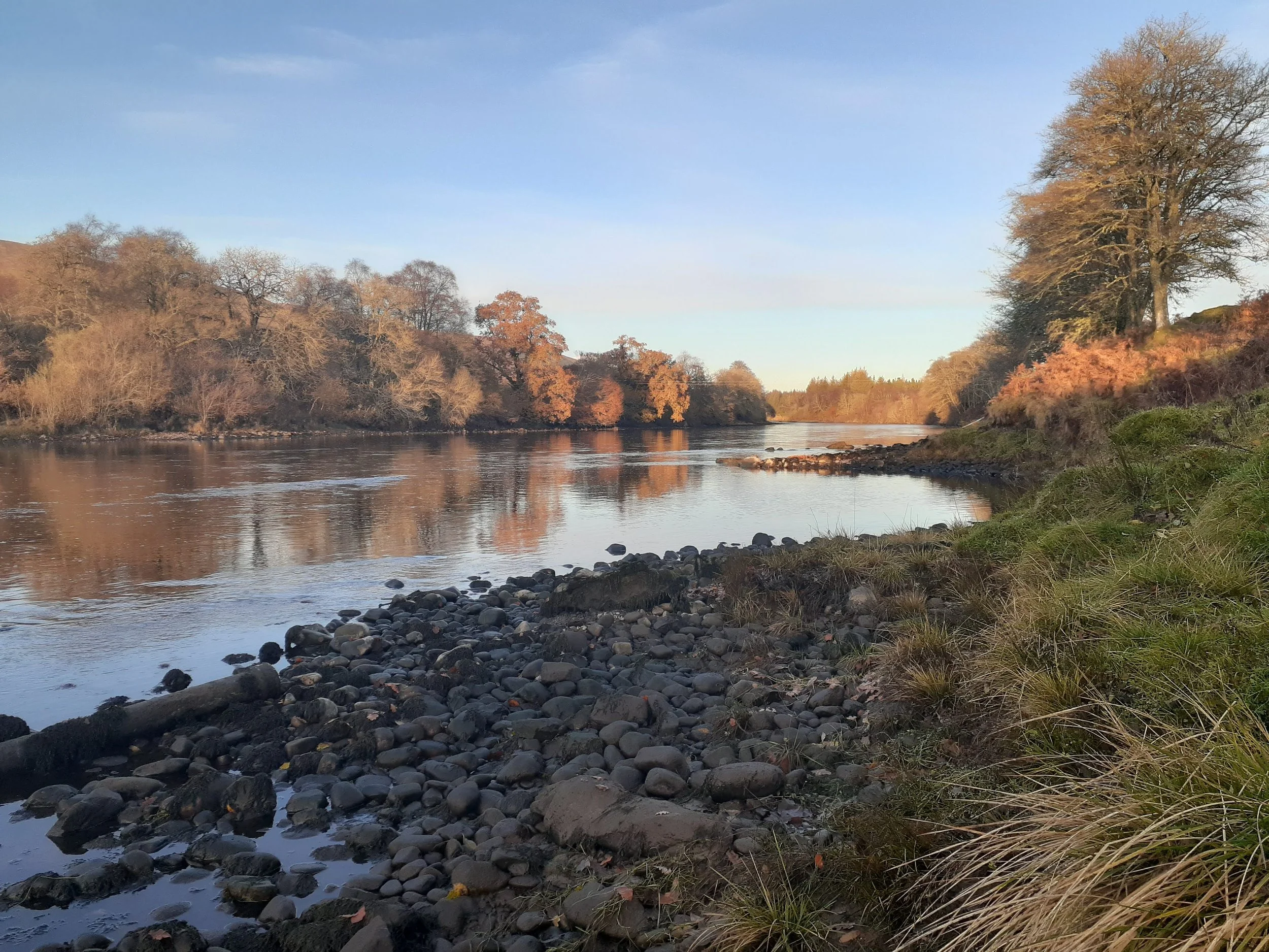 Retreat — Vanessa Chakour