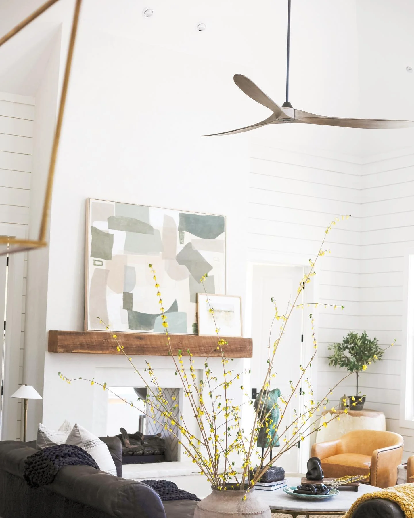 Claire Thompson Design