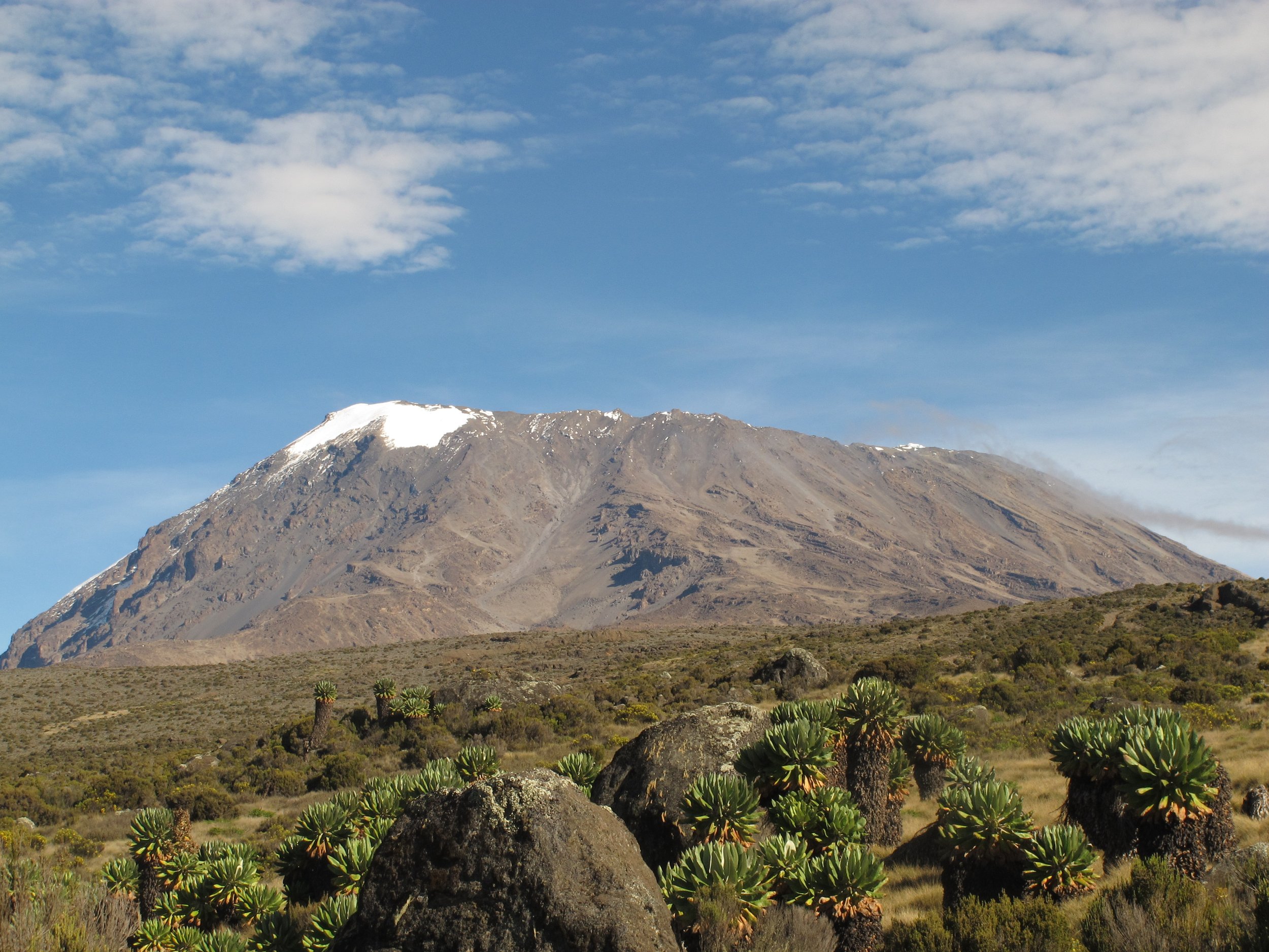 Trips — Off Cape Experiences