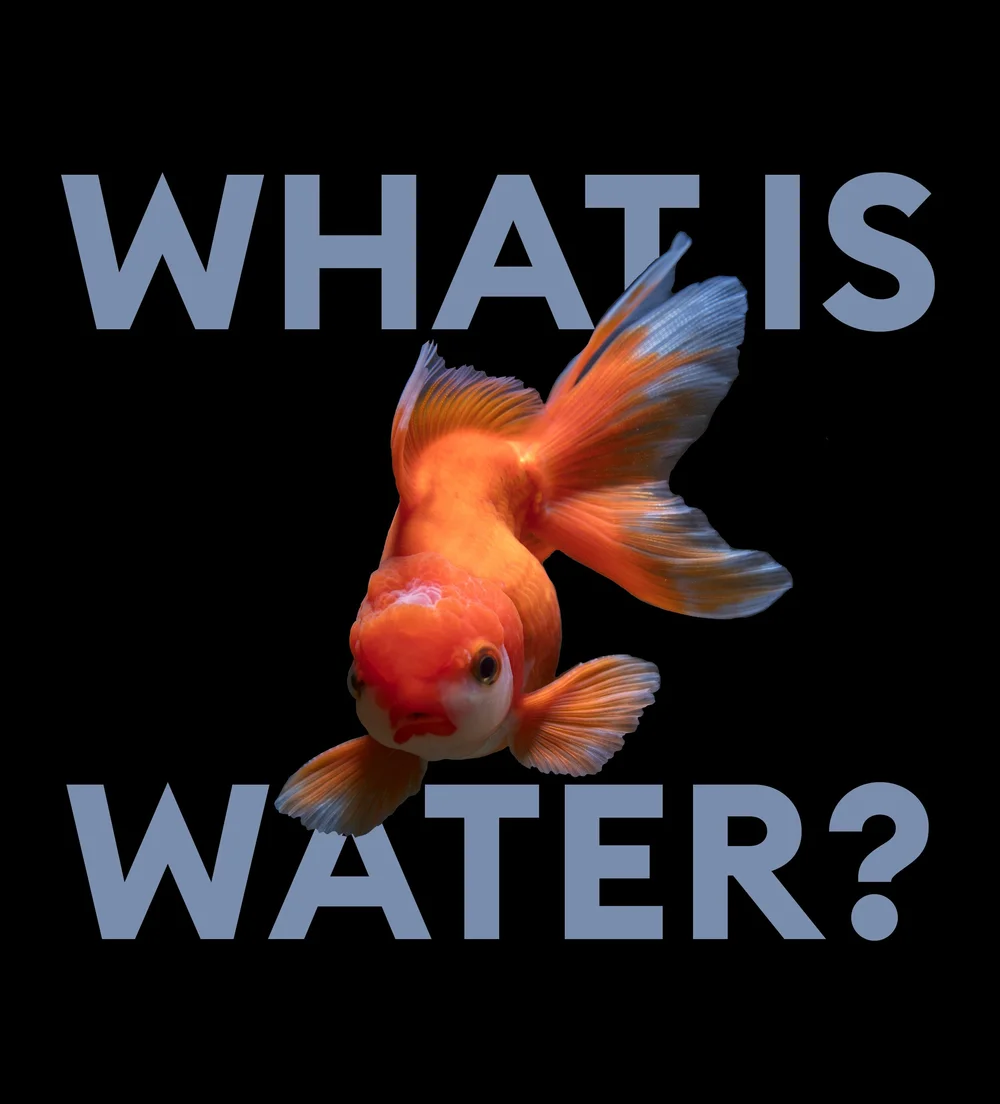 A Fish in Water — Optimizing-Education
