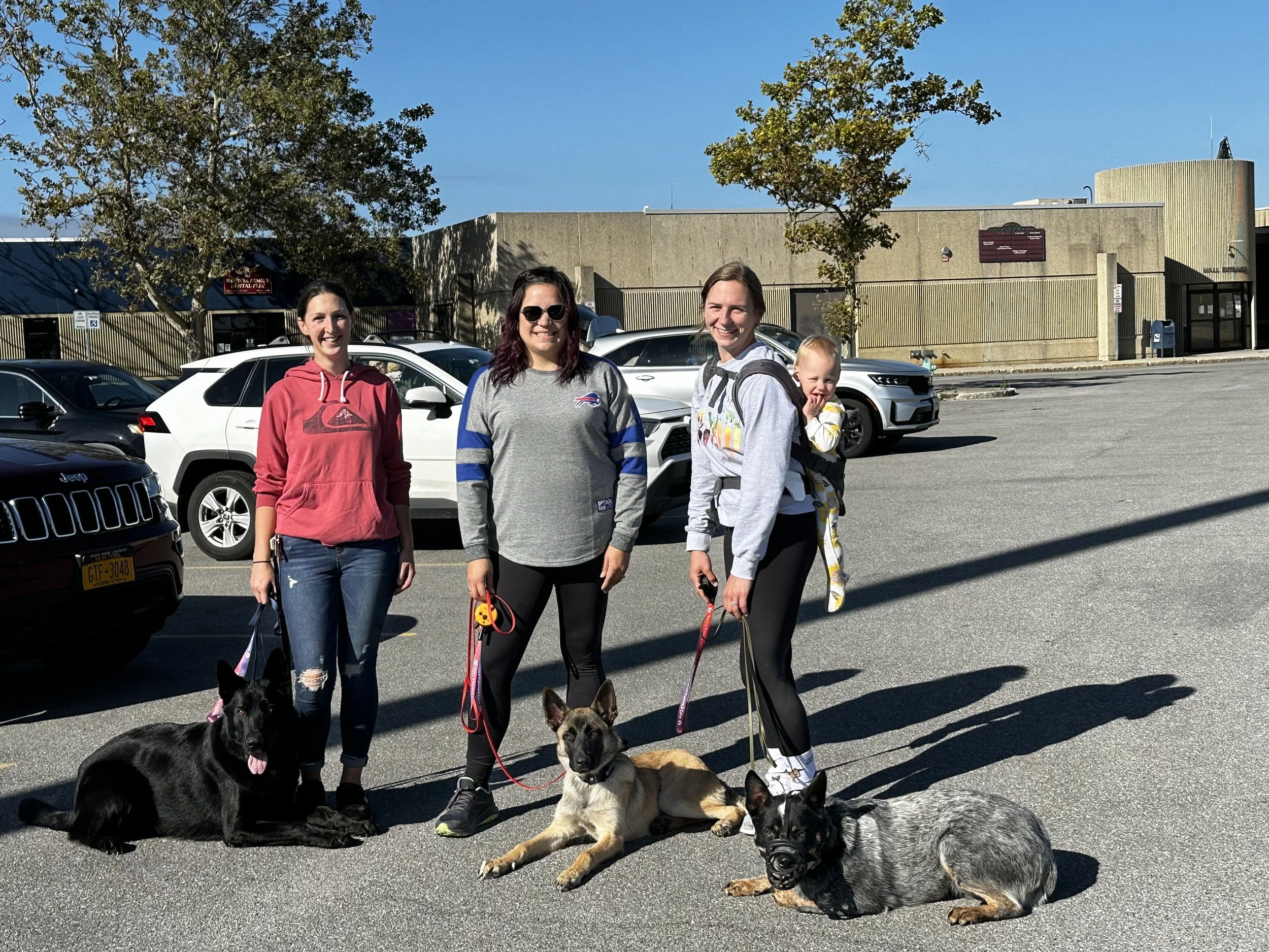 Team 1 — Logical K9