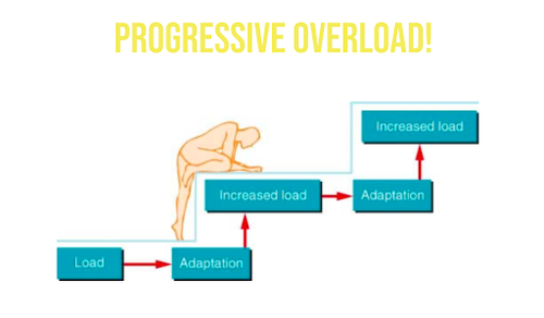 What is Progressive Overload? - Ladies Who Lift