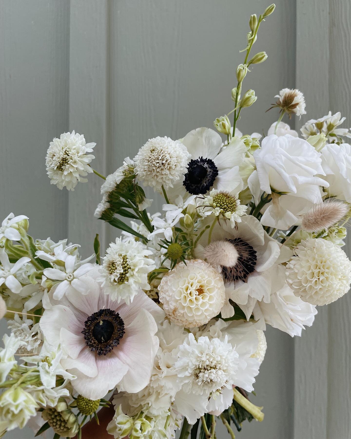 Chelsea Floral