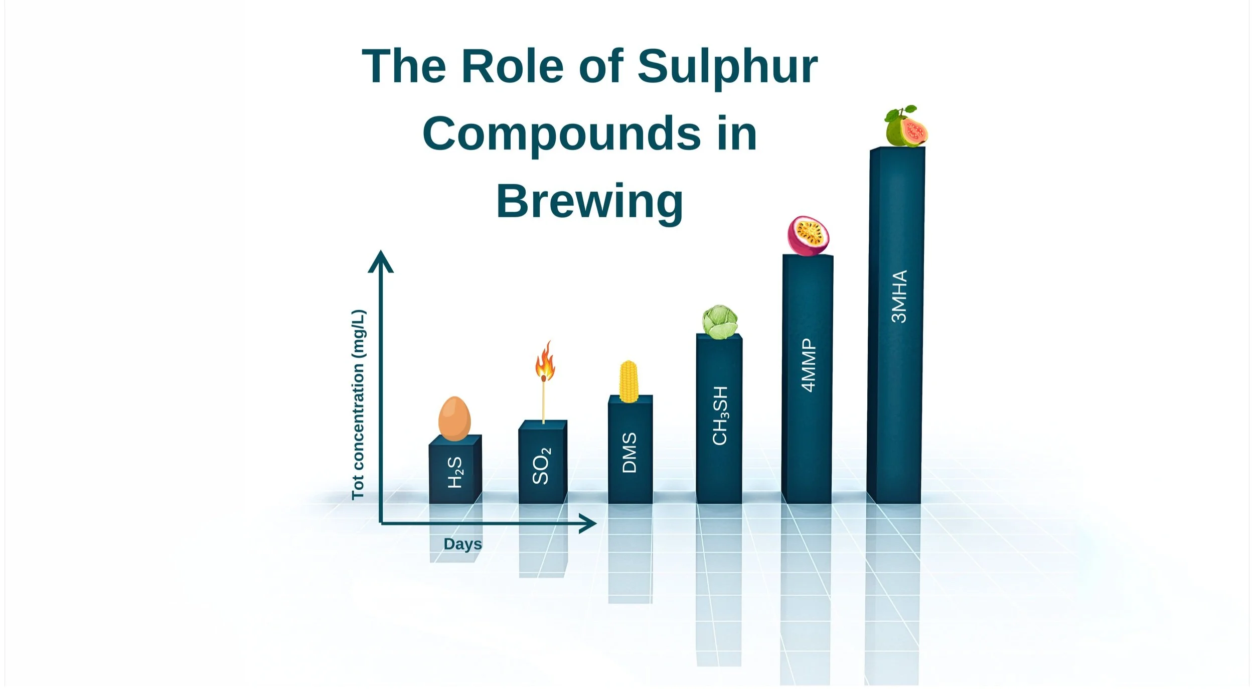 Sulphur compounds in brewing — neumaker