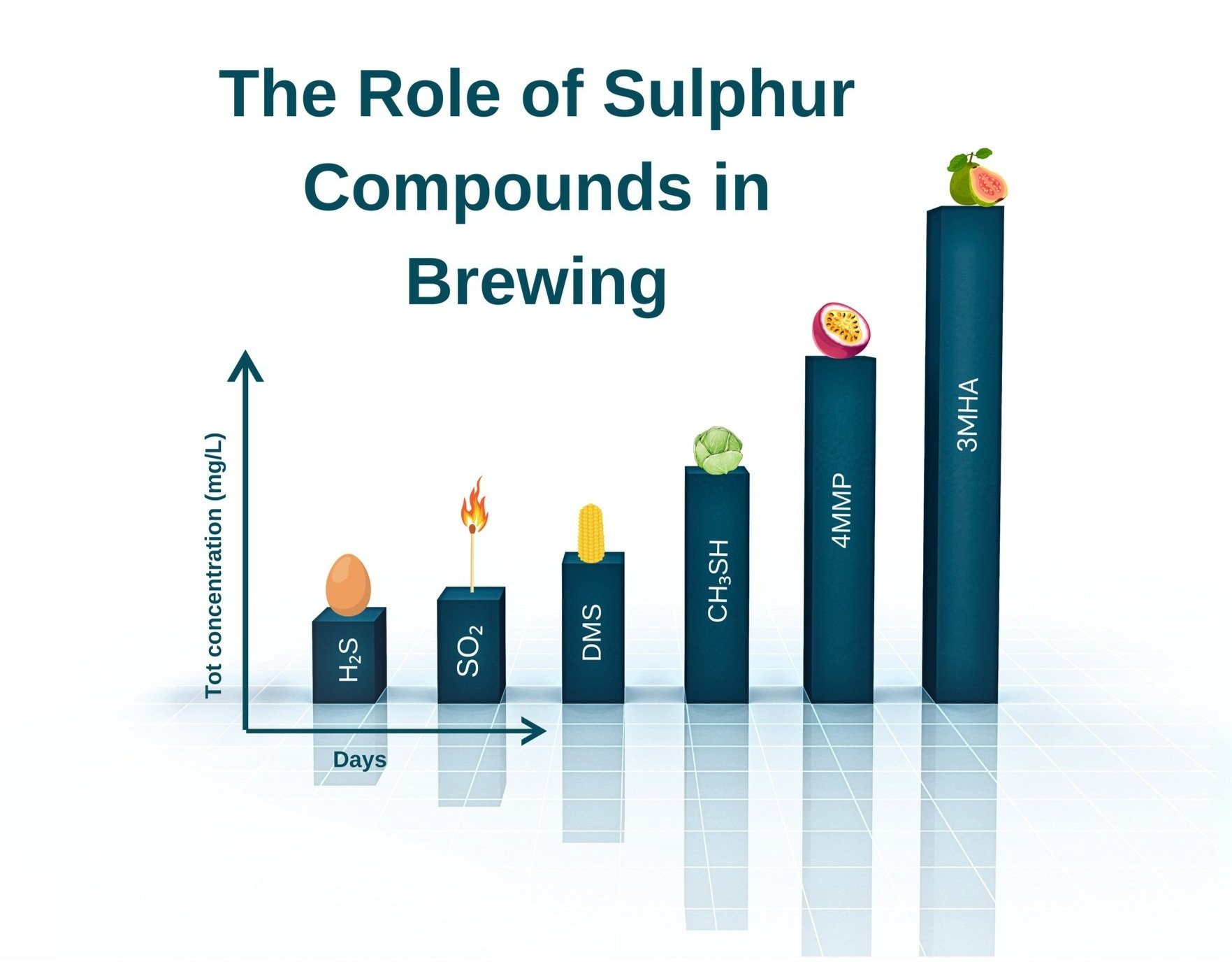 Preservation of beer — neumaker