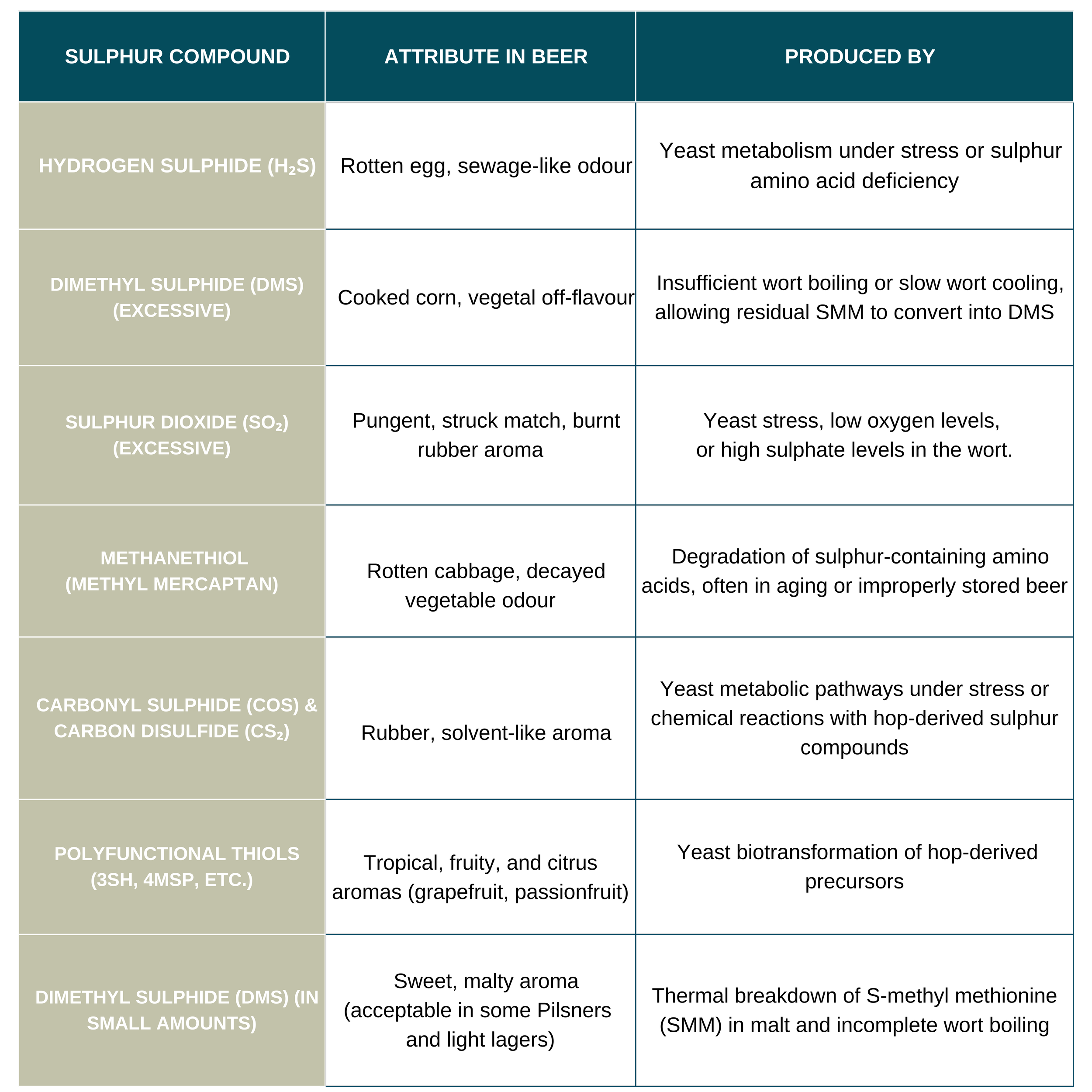 Sulphur compounds in brewing — neumaker