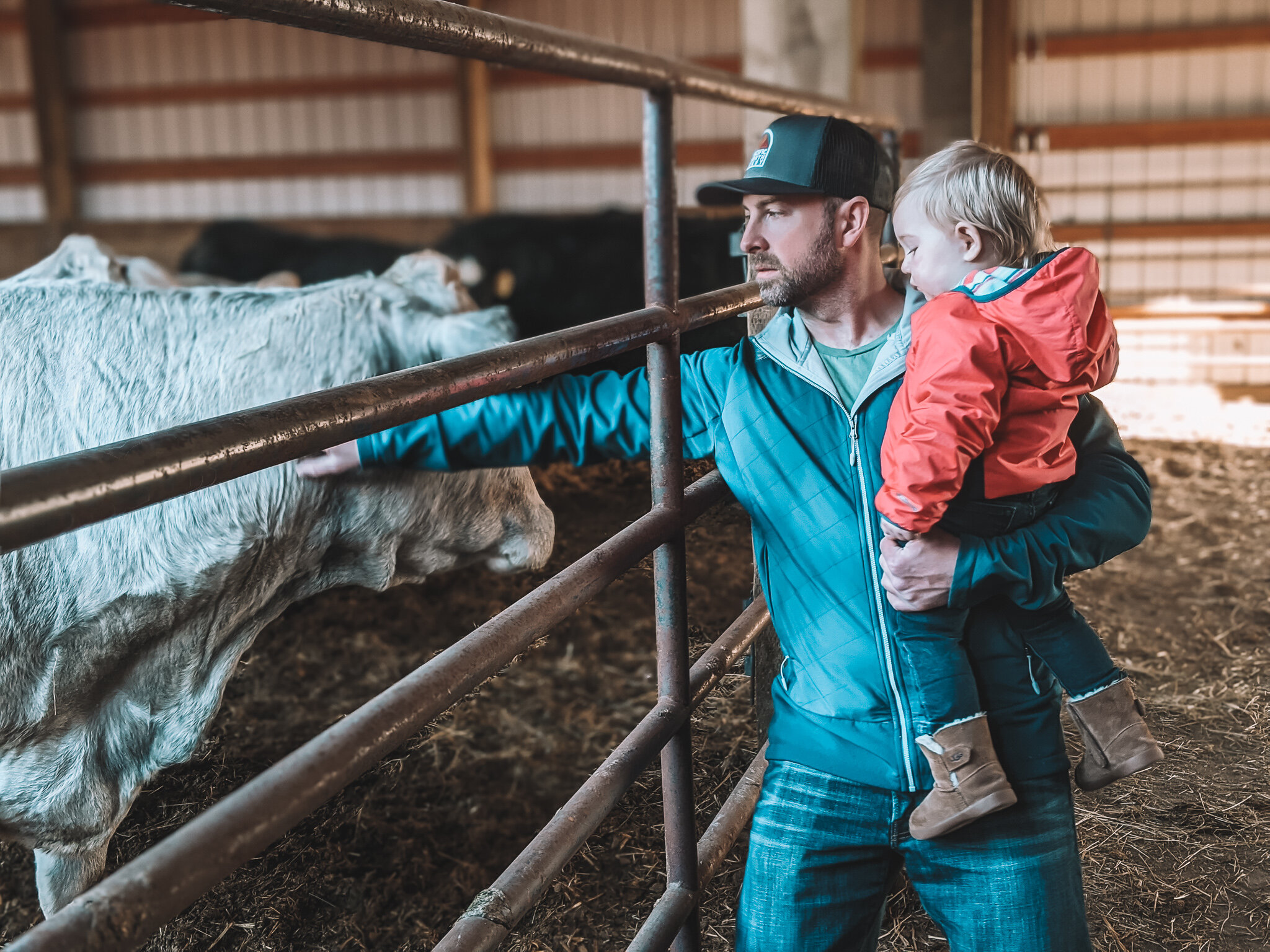 Owens Farms - Premium Piedmontese Beef