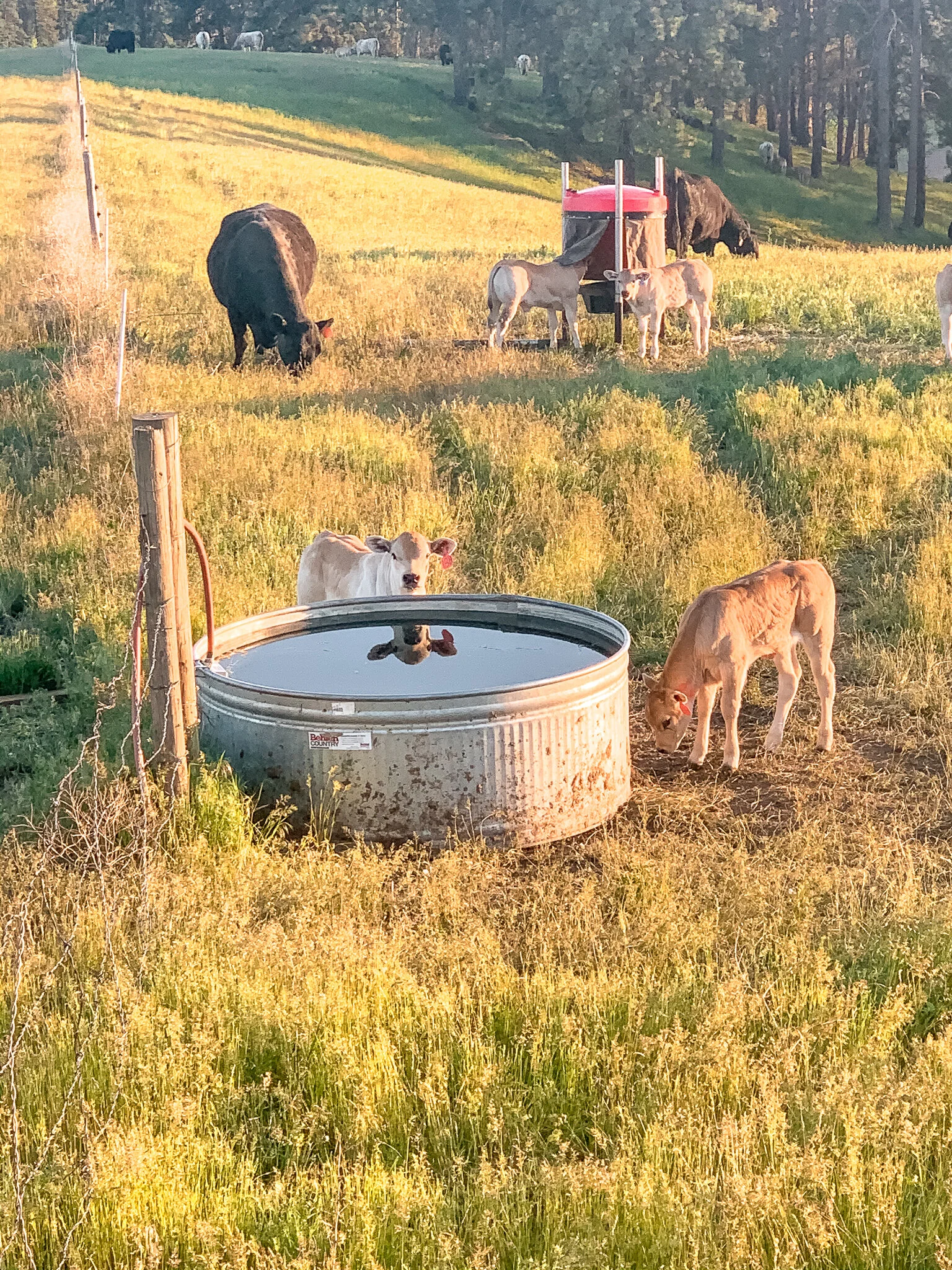 ABOUT — Owens Farms