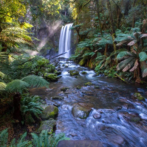 We strive for a secure and sustainable future. — Green Cross Australia