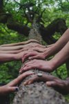 We strive for a secure and sustainable future. — Green Cross Australia