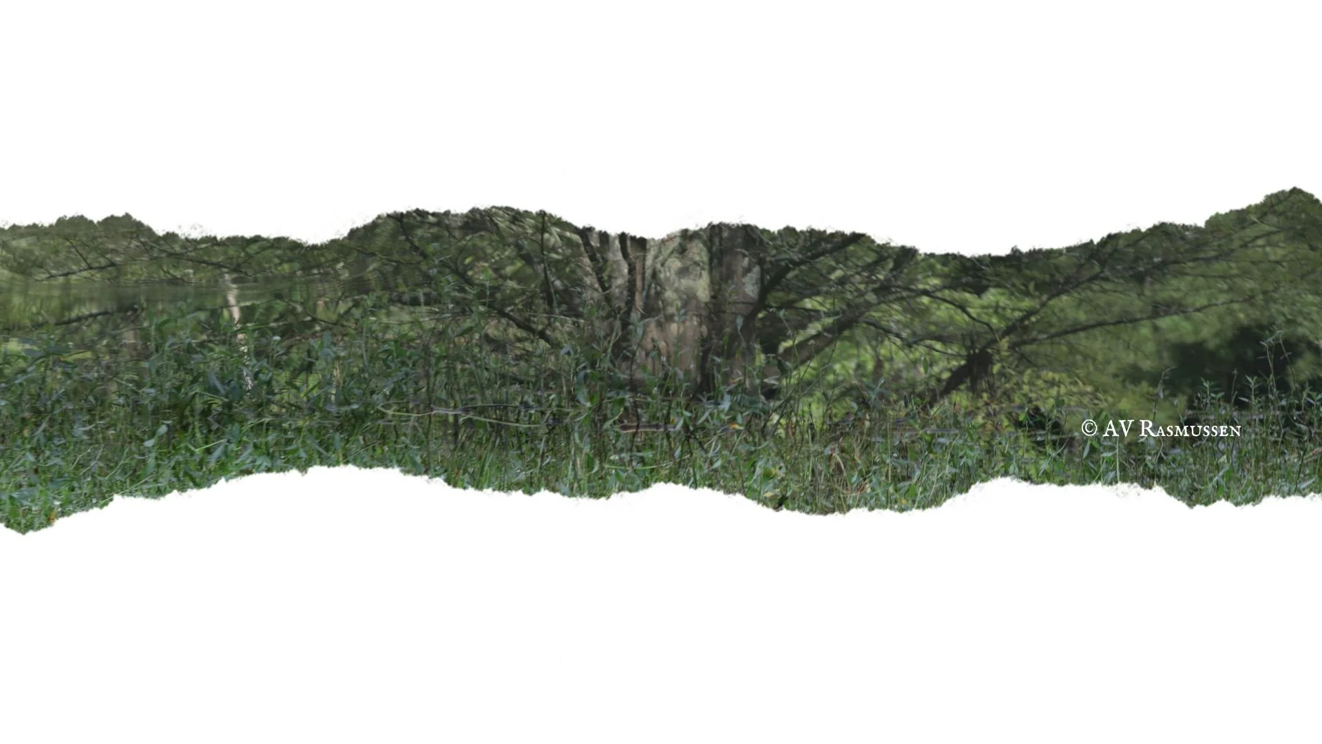 Winter 2022 Issue — Susurrus