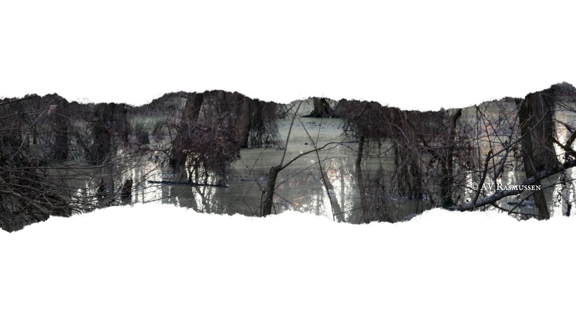 Winter 2022 Issue — Susurrus