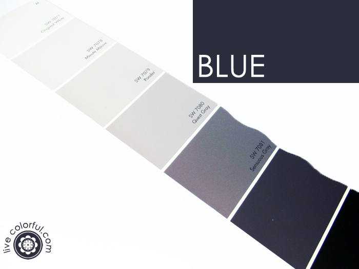 What are the Neutral Colors? — Live Colorful