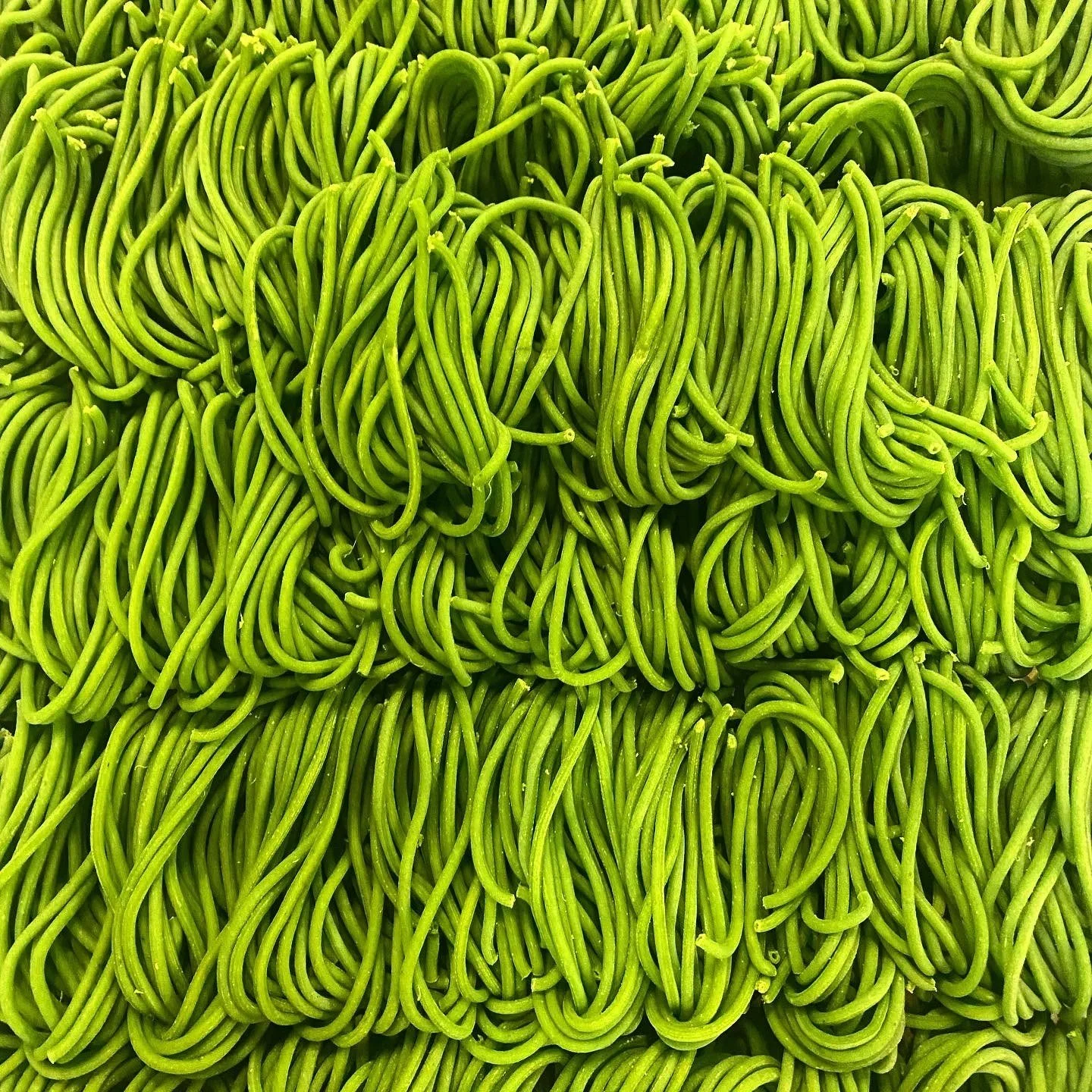 Gemma Foods Identity & Packaging — Cassidy Day