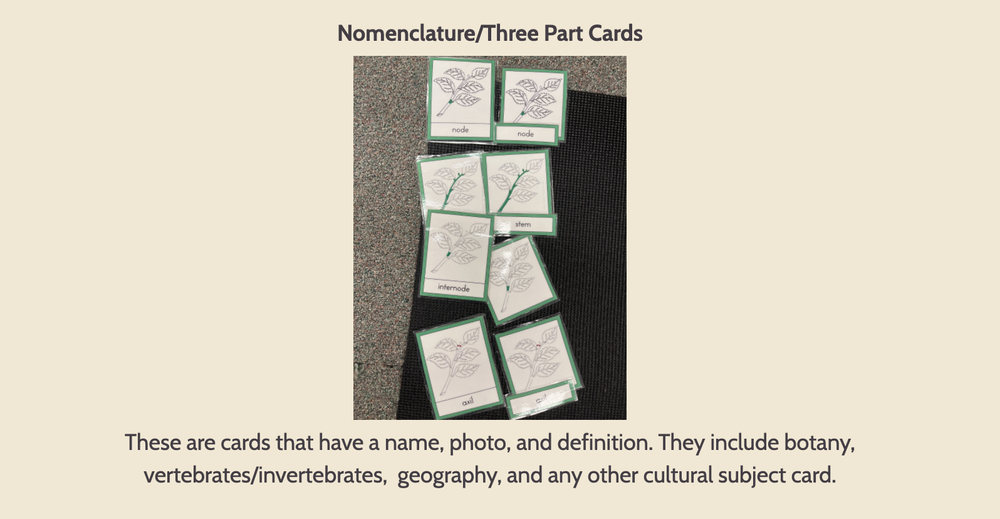 Montessori Cultural Materials — Parts of the Language, LLC