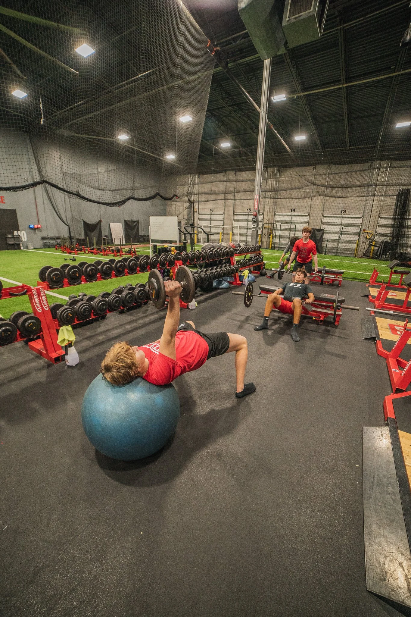 Sports Performance Training — Alpha Sports Performance