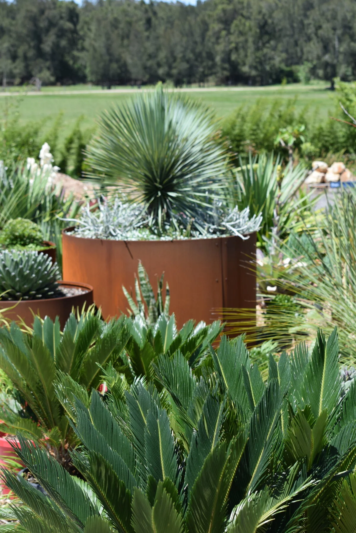 PLANTED SPACE | Outside Space | Landscape, Garden Construction ...