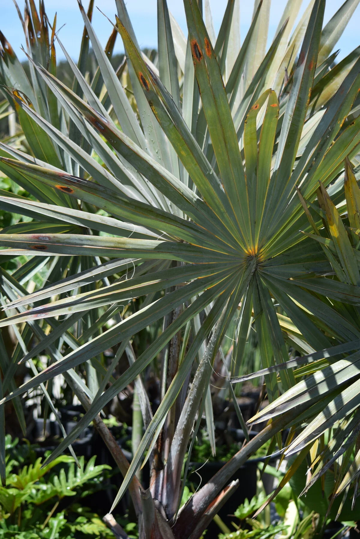 PLANTED SPACE | Outside Space | Landscape, Garden Construction ...