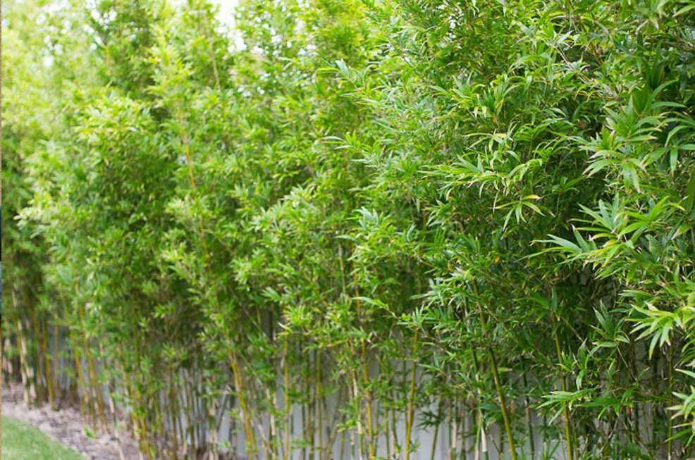 VERTICAL SPACE | Outside Space | Landscape, Garden Construction ...