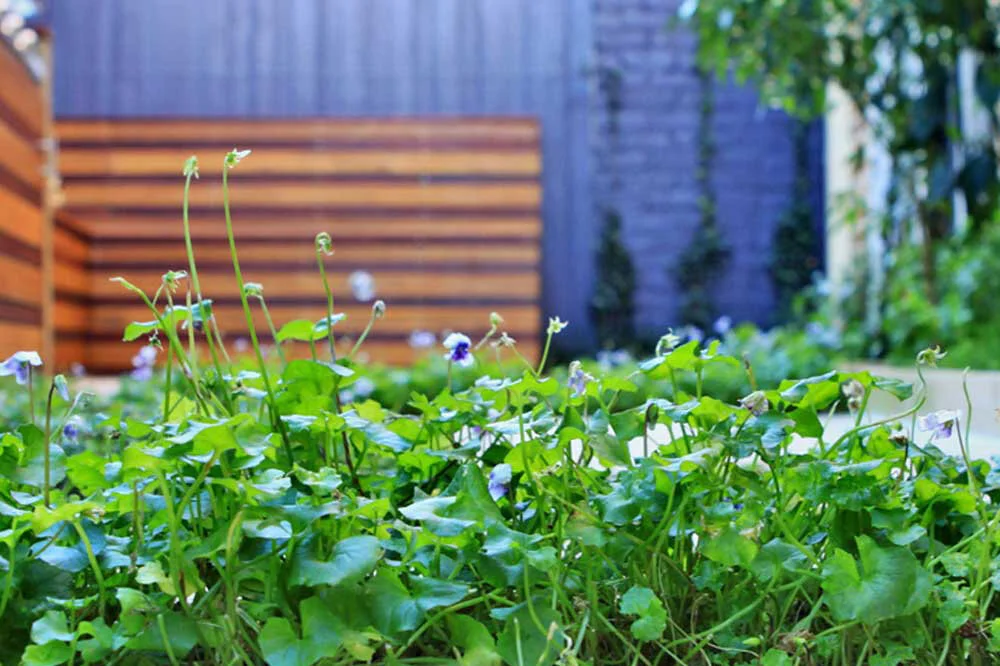 PLANTED SPACE | Outside Space | Landscape, Garden Construction ...