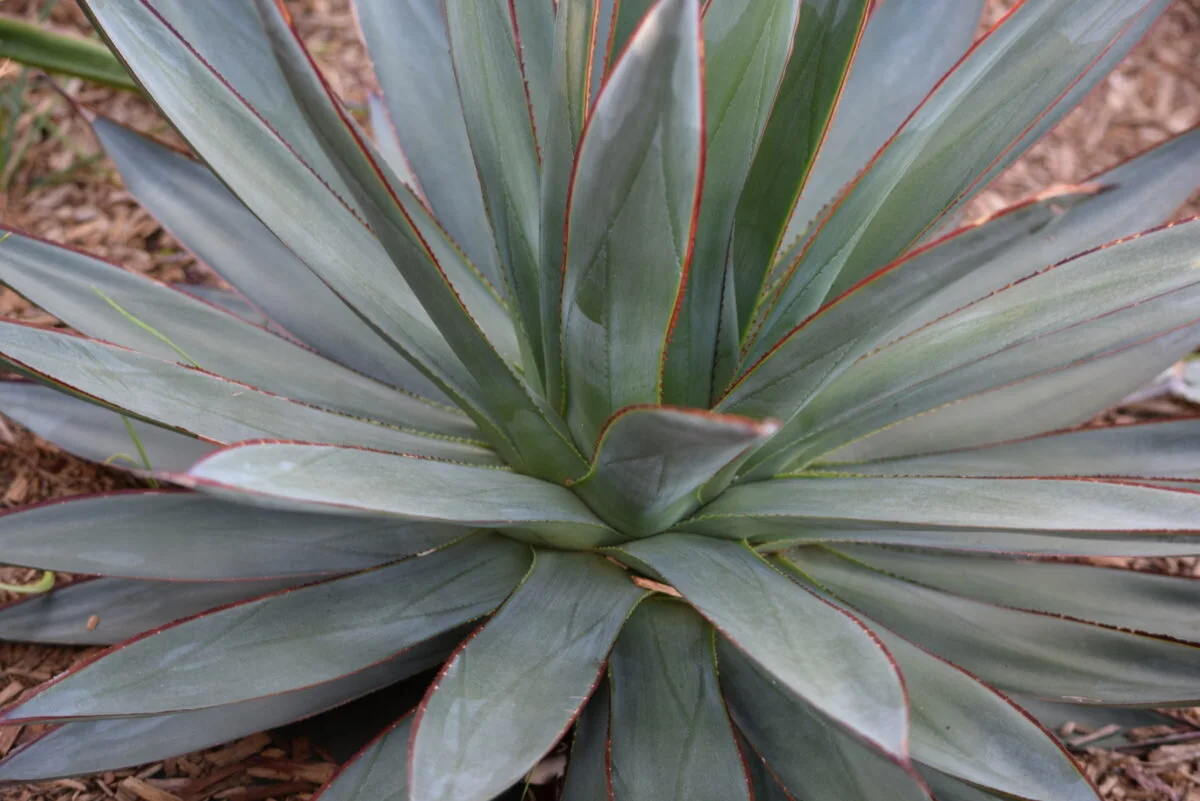 PLANTED SPACE | Outside Space | Landscape, Garden Construction ...