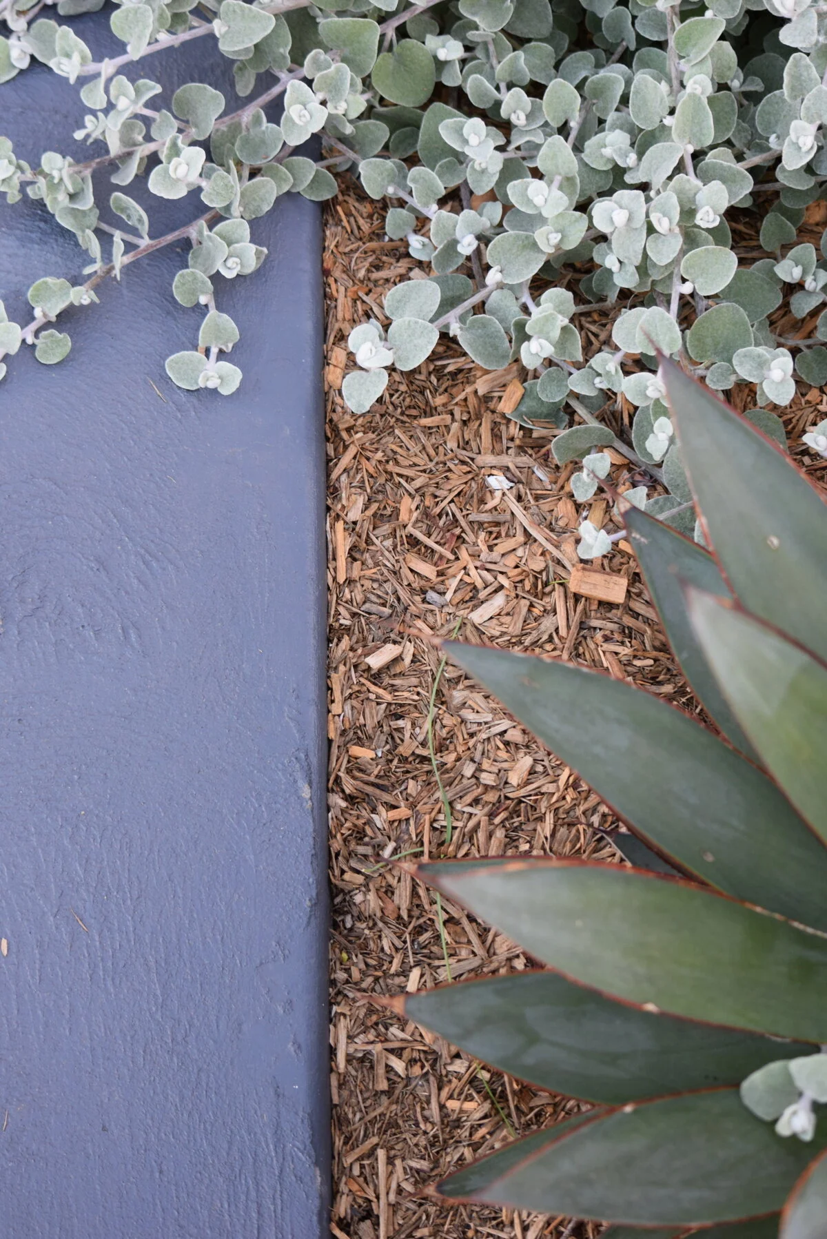 PAVED SPACE | Outside Space | Landscape, Garden Construction: Austinmer ...