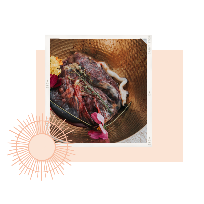 Placenta Encapsulation in Orange and Long Beach Counties — Gold Soul ...