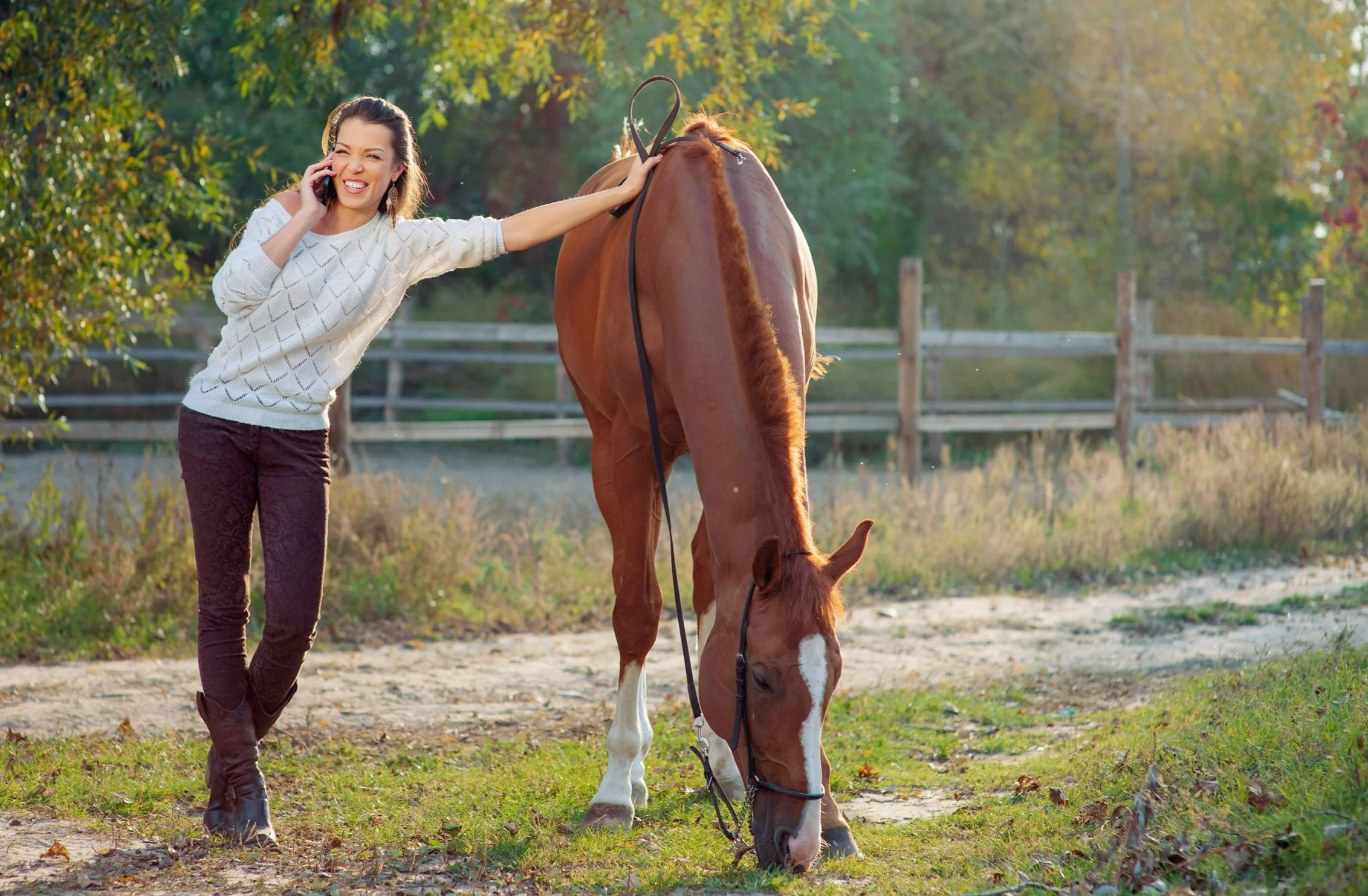 PURE Equine | Our checklist for starting a horse business
