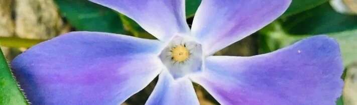 Services — Muck & Magic