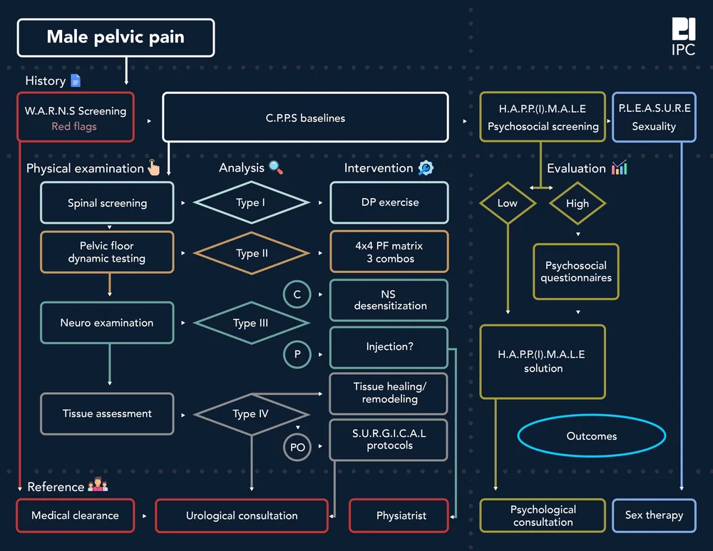 IPC Four Horsemen - Male Pelvic Pain Masterclass — IPC - Integrated ...
