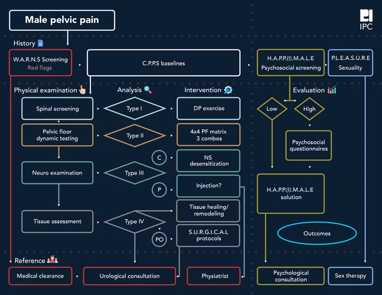 Male Pelvic Pain Masterclass — IPC - Integrated Pelvic Care