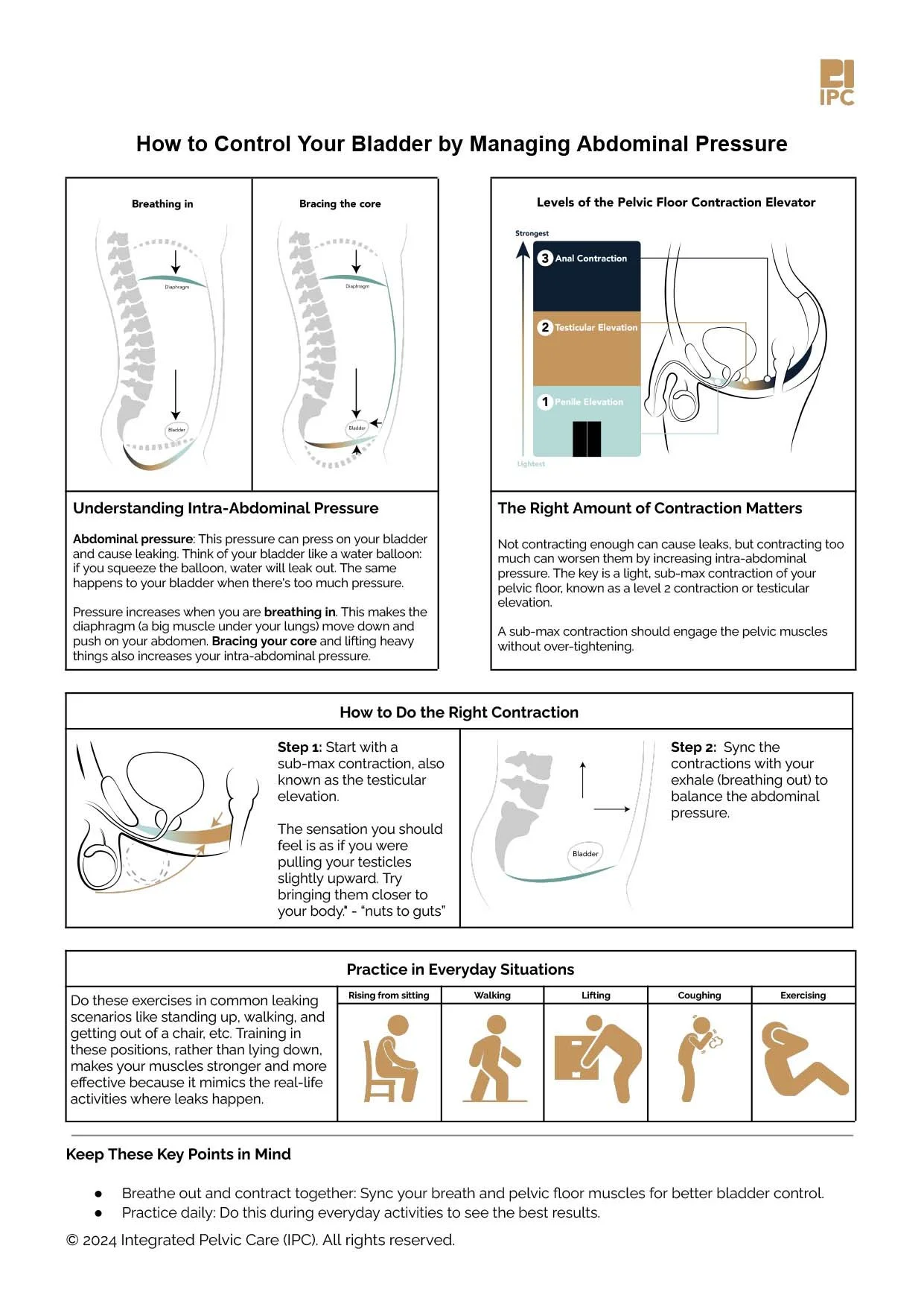 Pelvic Tribe — IPC - Integrated Pelvic Care