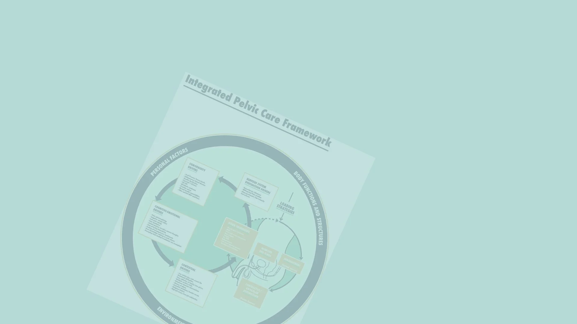 IPC - Integrated Pelvic Care