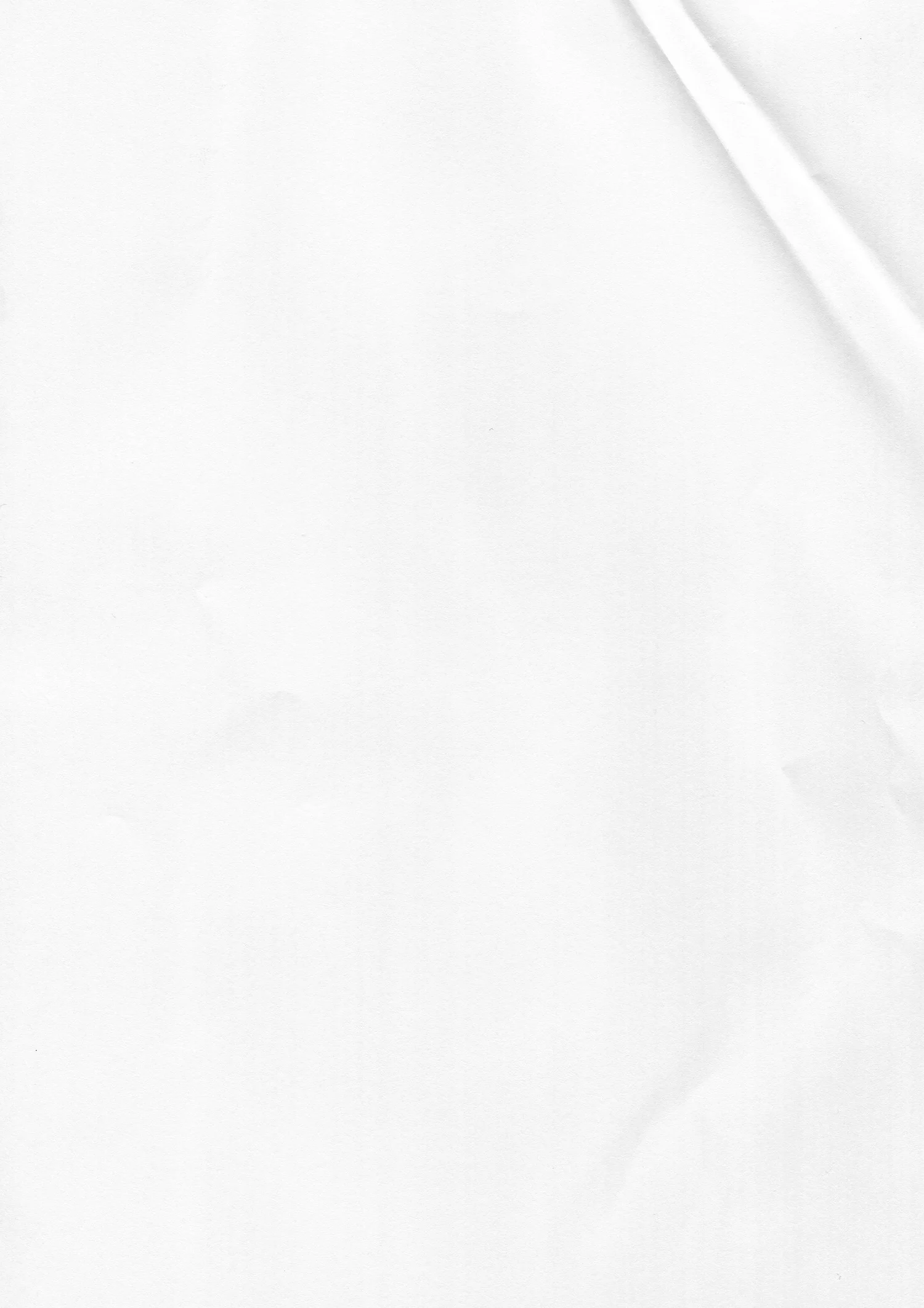 Radical Respect — Kim Scott