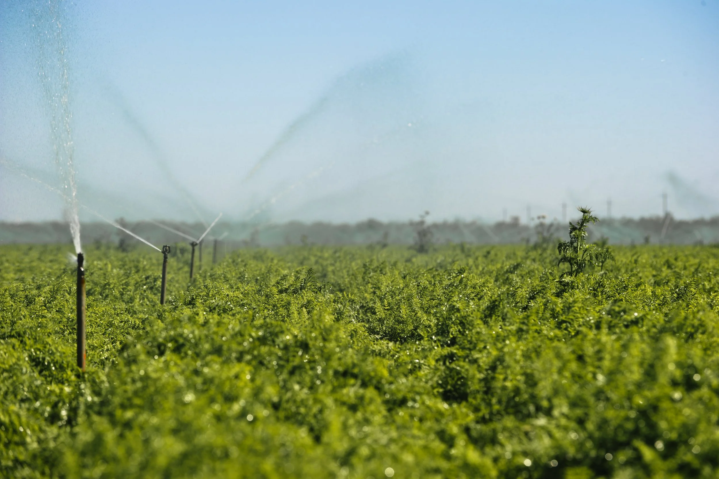 Meeting & Agendas — Merced Irrigation-Urban Groundwater Sustainability ...