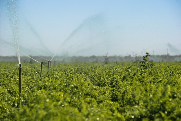 Meeting & Agendas — Merced Irrigation-Urban Groundwater Sustainability ...