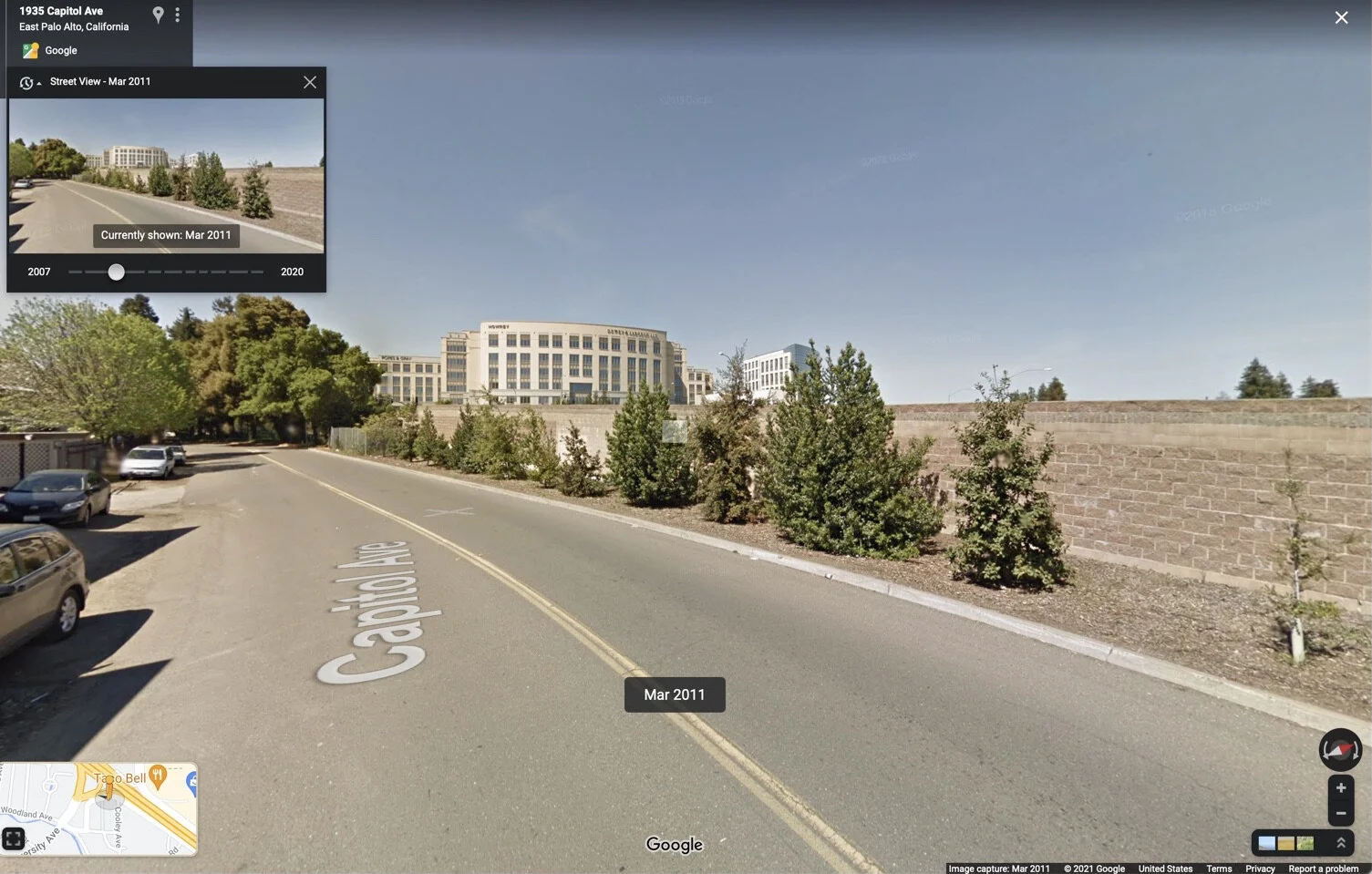 Netleaf Oak Quercus rugosa — Oaktopia